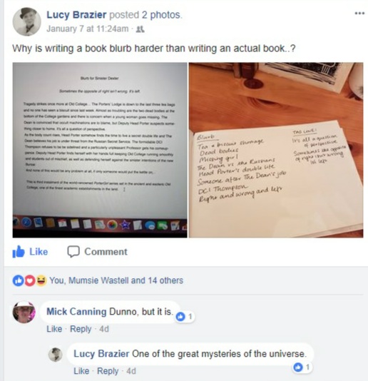 Why Is Writing A Book Blurb Harder Than Writing An Actual Book? Guest ...